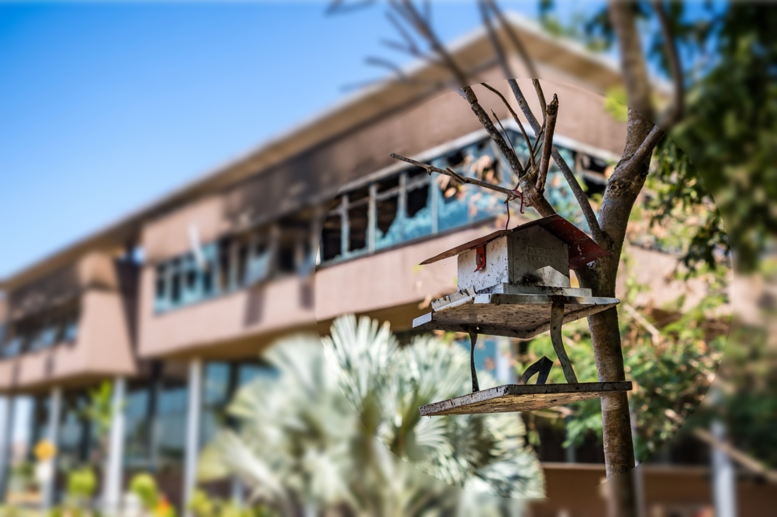 Prefeitura de Parauapebas