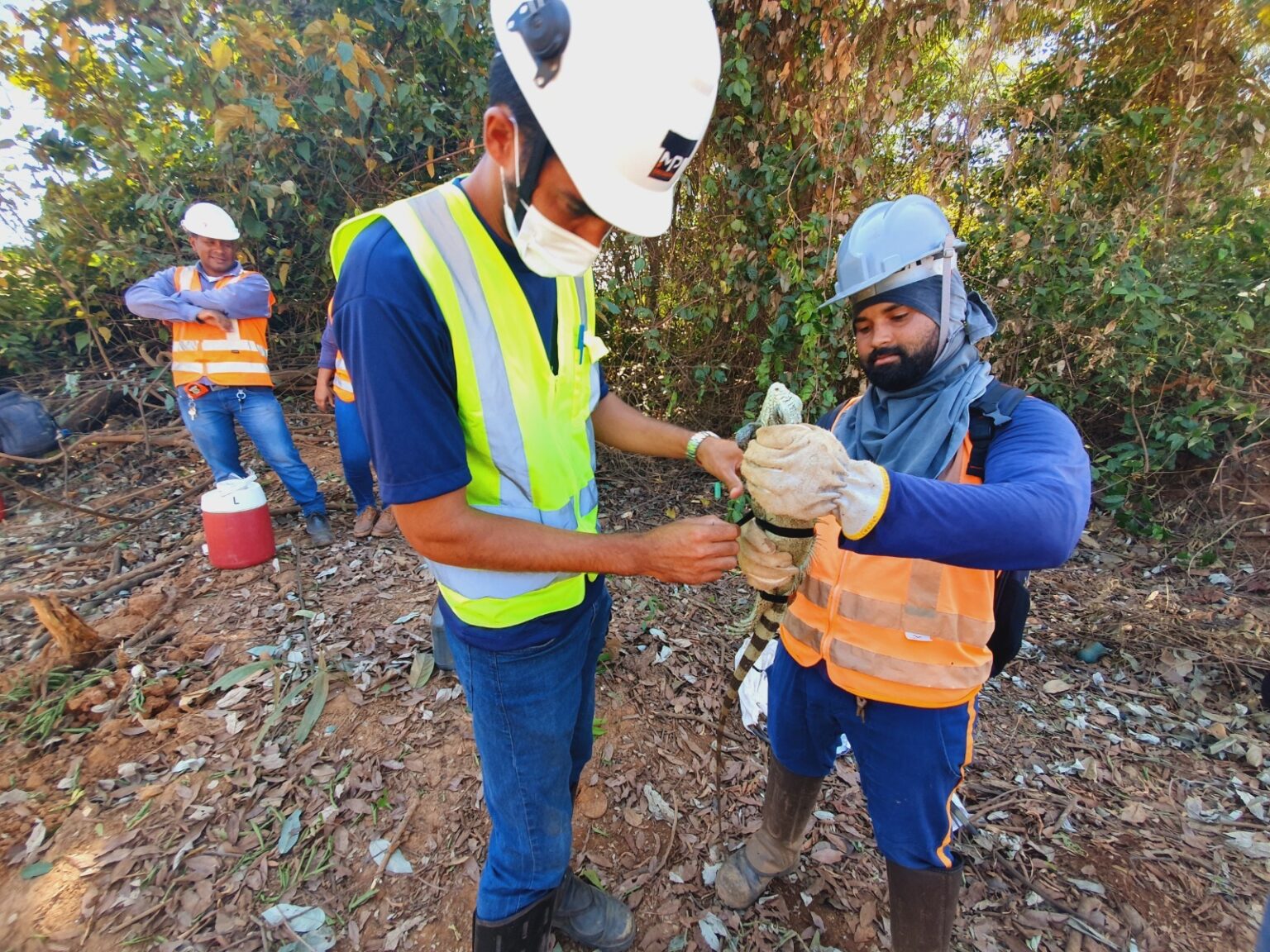 Prosap transforma cenário urbano e promove qualidade de vida em ...