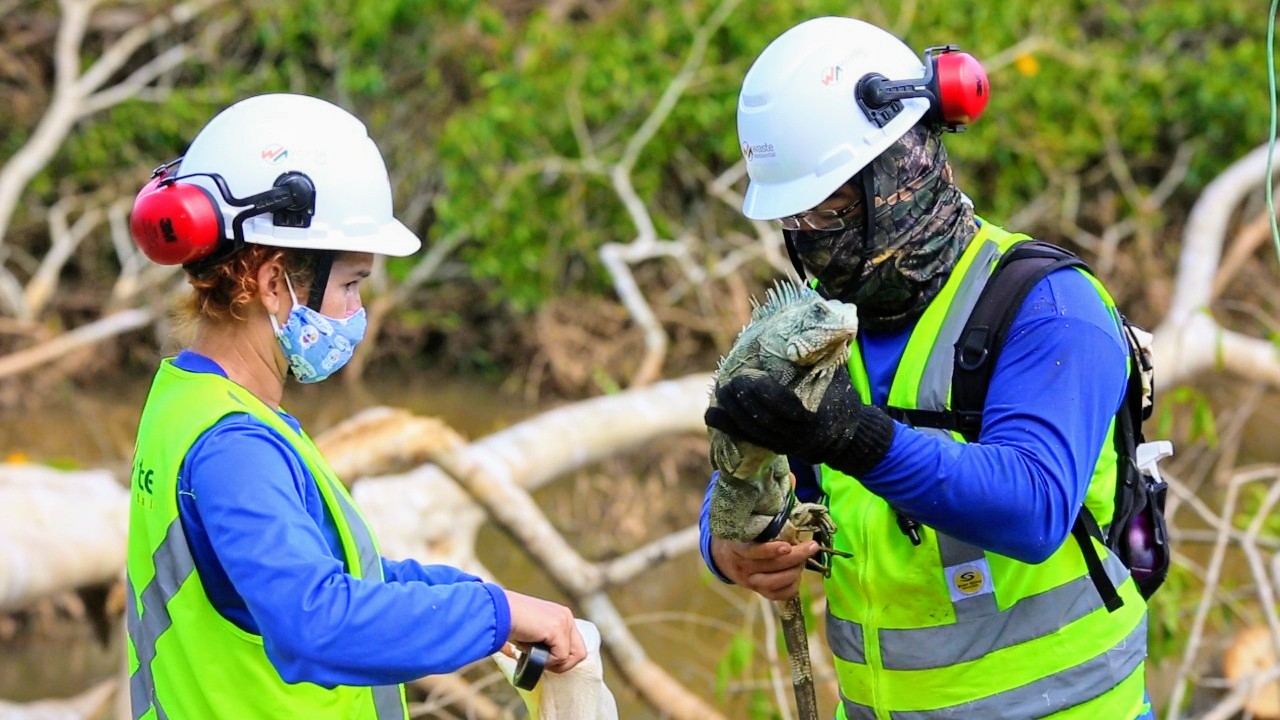 Dia Mundial do Meio Ambiente: o envolvimento do Prosap na conservação ...
